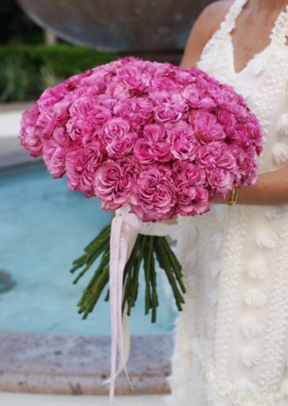 Hollywood Roses – Aya Flowers